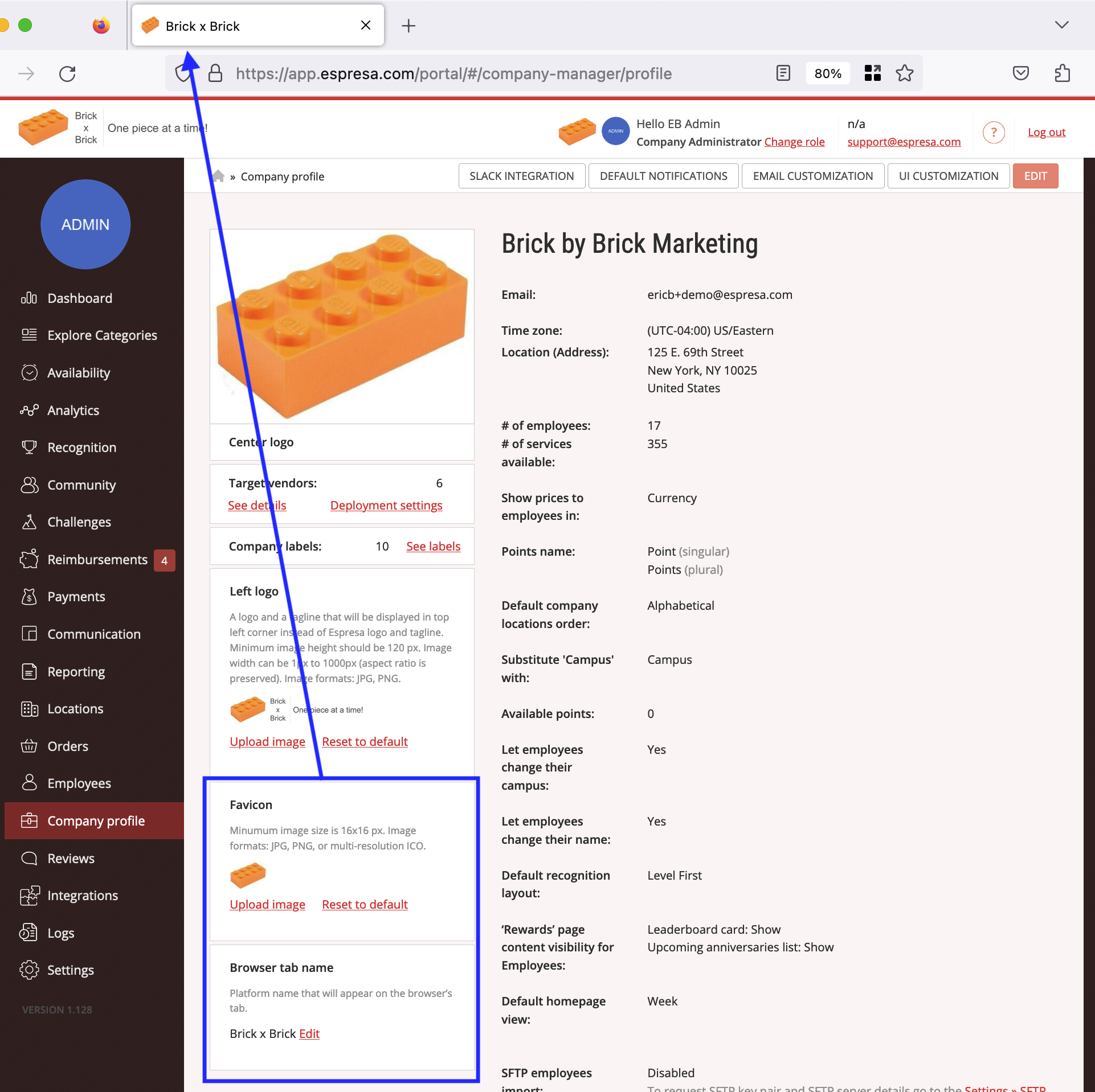 How do I customize the web browser tab with program name and favicon ...